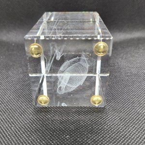 Jaffa | Accents | Laser Image In Crystal 3d Swan In Marsh Paperweight ...